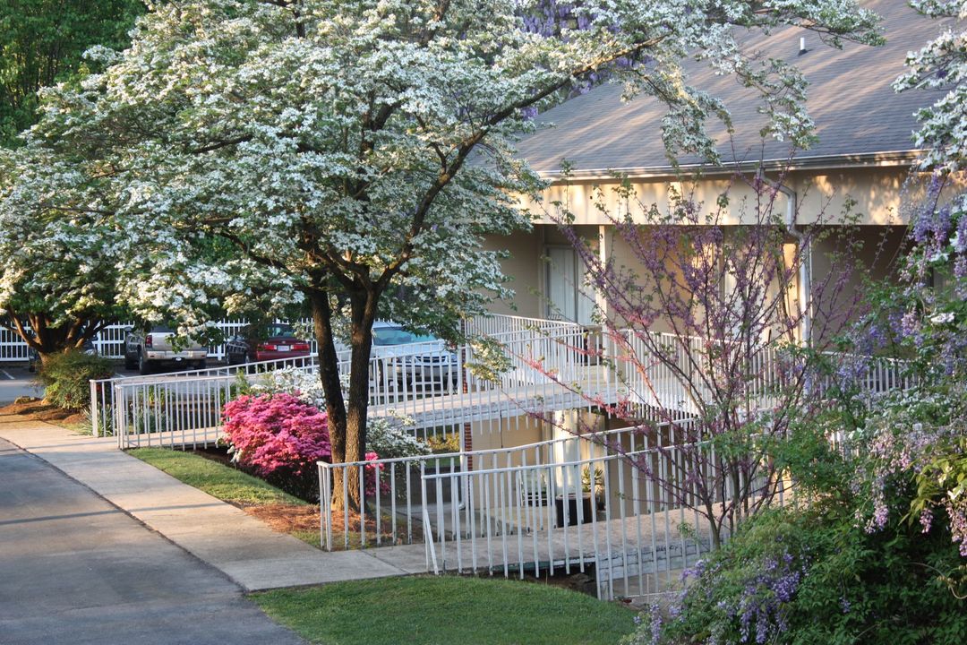 Village at Cook Springs (UPDATED) - Get Pricing & See 6 Photos in Pell ...