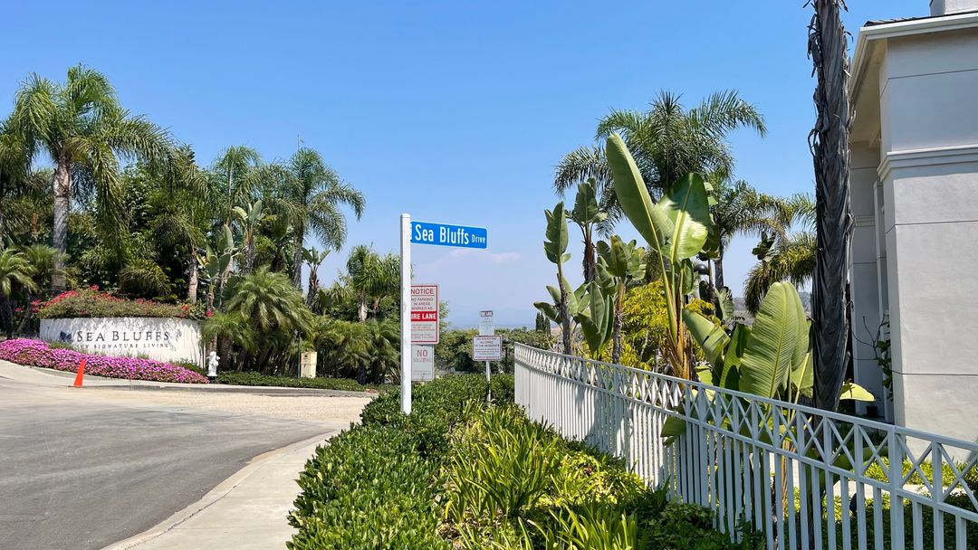 Sea Bluffs - Ivy Signature Living (UPDATED) - Get Pricing & See 10 ...