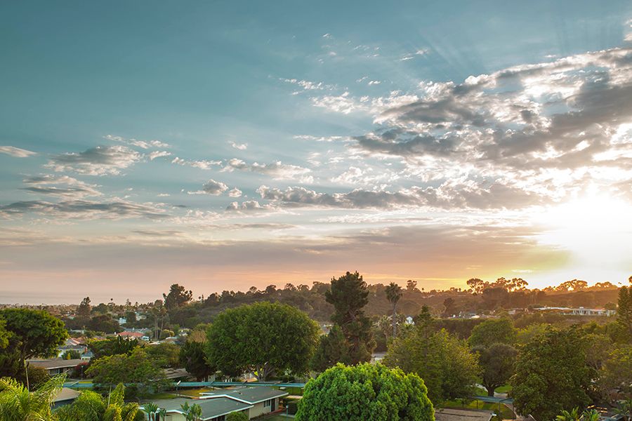Wesley Palms (UPDATED) - Get Pricing, See 30 Photos & Read Reviews in ...