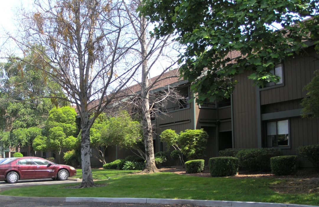 The Atrium Of Carmichael (UPDATED) - Get Pricing, See 23 Photos & Read ...