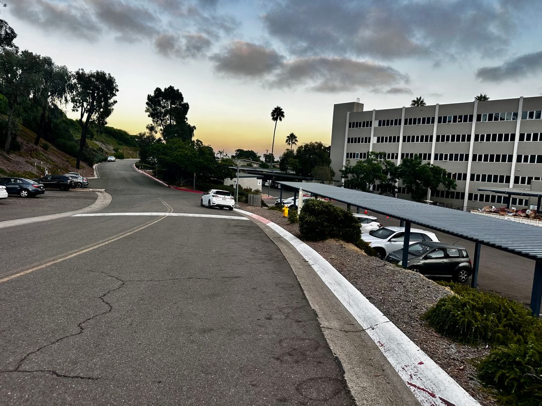 Wesley Palms (UPDATED) - Get Pricing, See 29 Photos & Read Reviews in ...