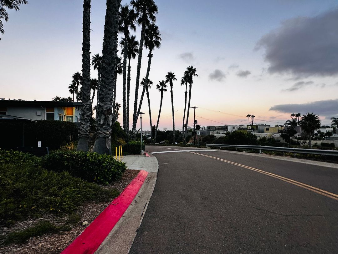 Wesley Palms (UPDATED) - Get Pricing, See 29 Photos & Read Reviews in ...