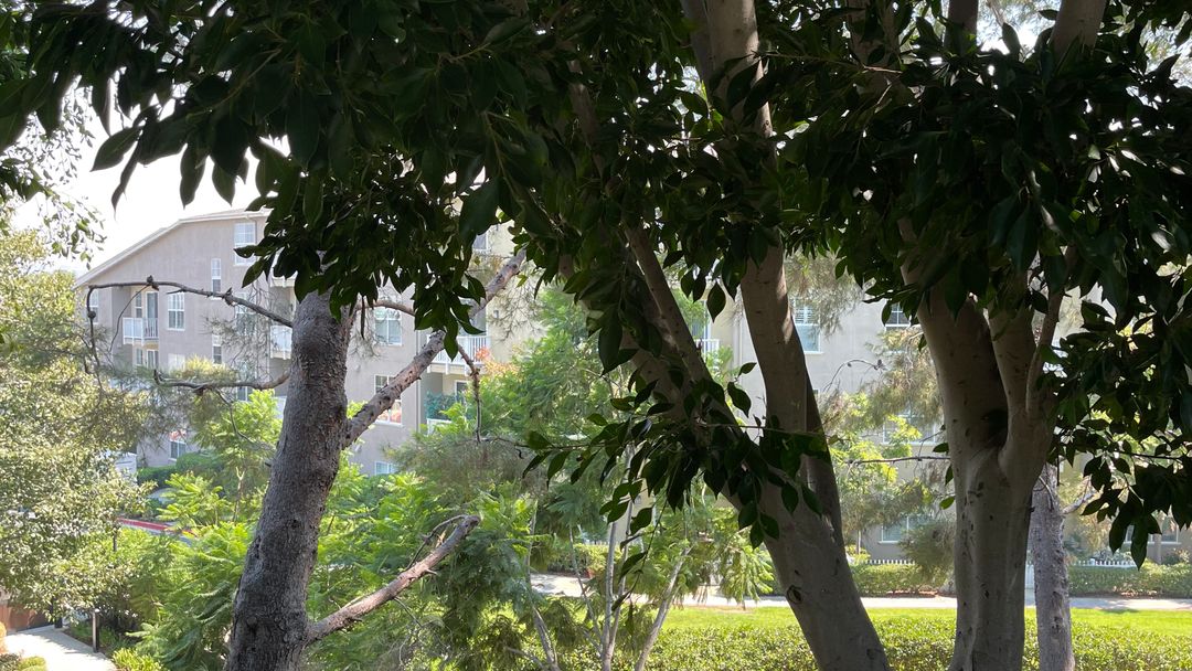 The Covington - CLOSED - Get Pricing & See 8 Photos in Raleigh, NC