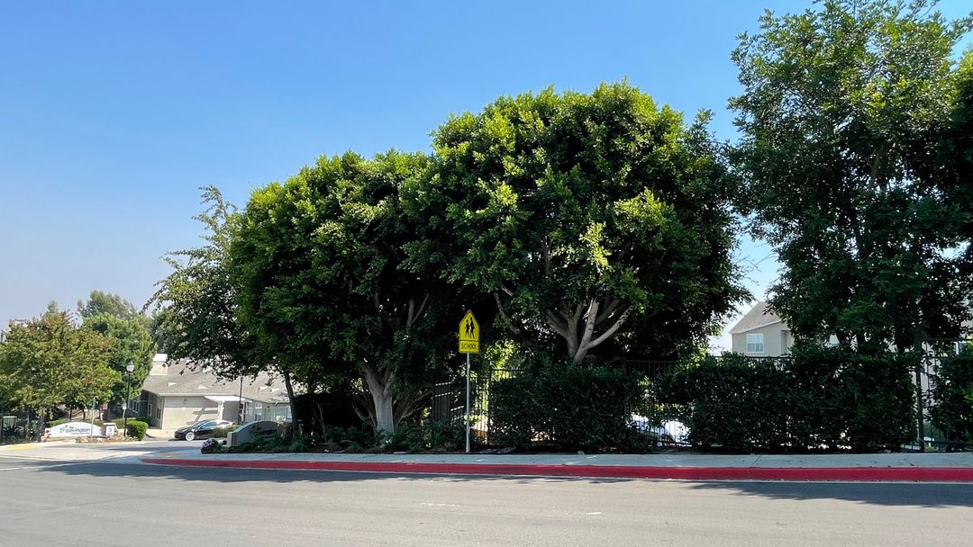 The Covington - CLOSED - Get Pricing & See 8 Photos in Raleigh, NC