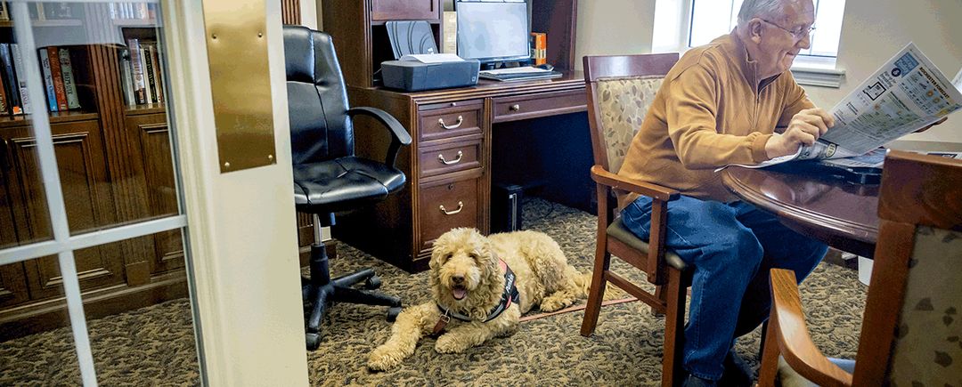 Quail Summit (UPDATED) - Get Pricing & See 5 Photos in Canandaigua, NY