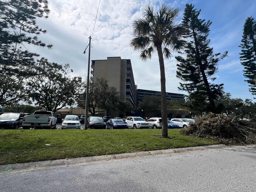 Mease Life (UPDATED) - Get Pricing, See 6 Photos & Read Reviews in ...