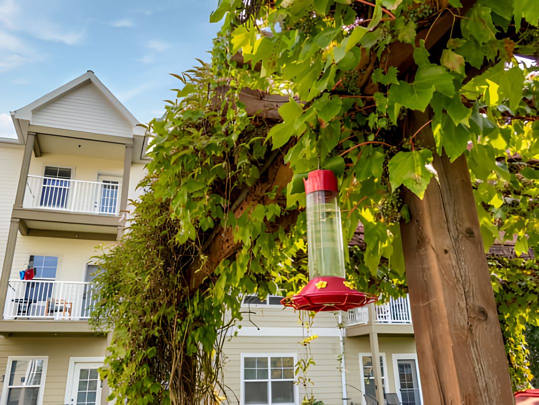 Avamere At Bethany (UPDATED) - Get Pricing, See 33 Photos & See Floor ...