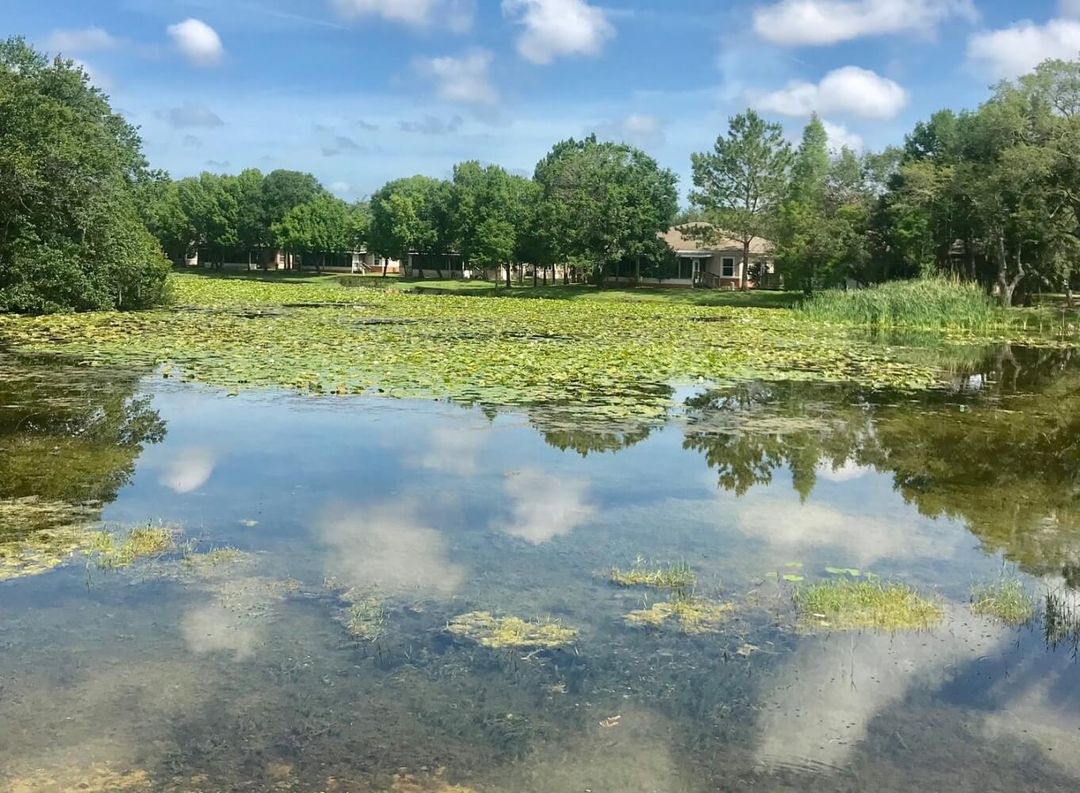 SeaCoast at Uptown Oaks - Get Pricing & See 9 Photos in Tampa, FL
