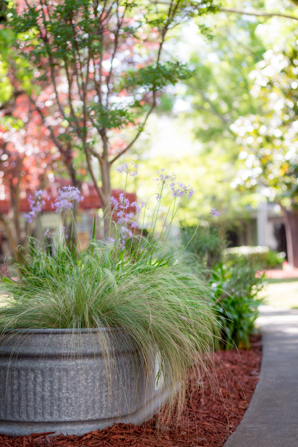 Cogir of Sonoma (UPDATED) - Get Pricing, See 22 Photos, Read Reviews ...