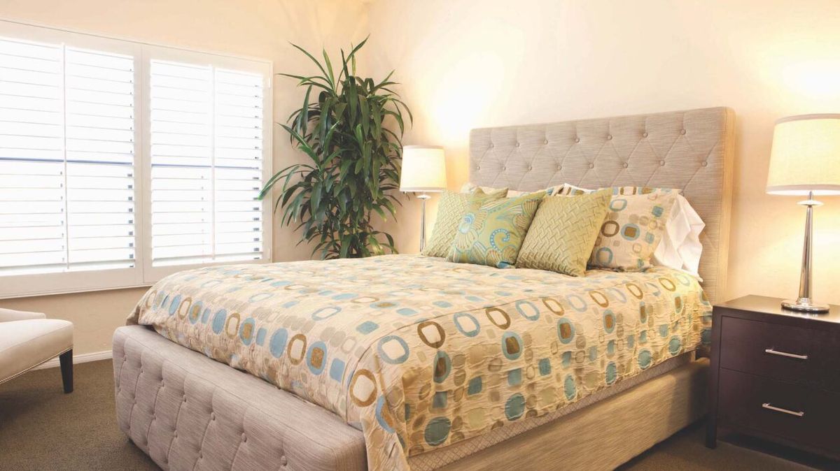 The Carlotta Ivy Signature Living