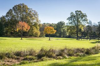 Croasdaile Village (UPDATED) - Get Pricing, See 39 Photos & See Floor ...