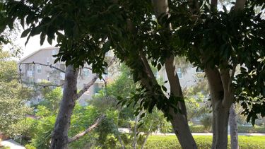 The Covington - CLOSED - Get Pricing & See 8 Photos in Raleigh, NC