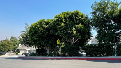 The Covington - CLOSED - Get Pricing & See 8 Photos in Raleigh, NC