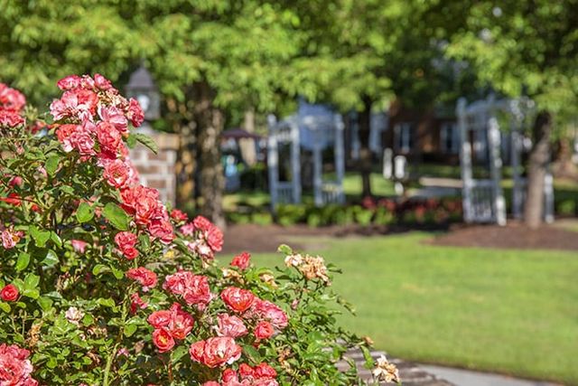 Brookdale Chambrel Williamsburg - Pricing, 11 Photos & Amenities in ...