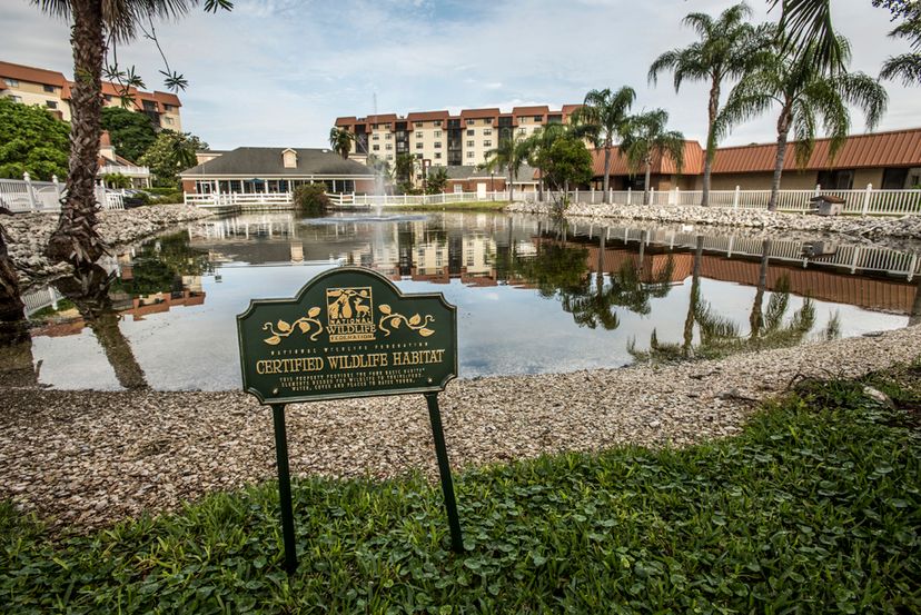Freedom Square Of Seminole - Photos & Amenities in Seminole, FL