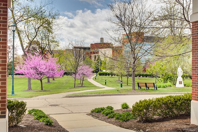 Amazing Grace Senior Living - Pricing, 64 Photos & Amenities in Chicago ...